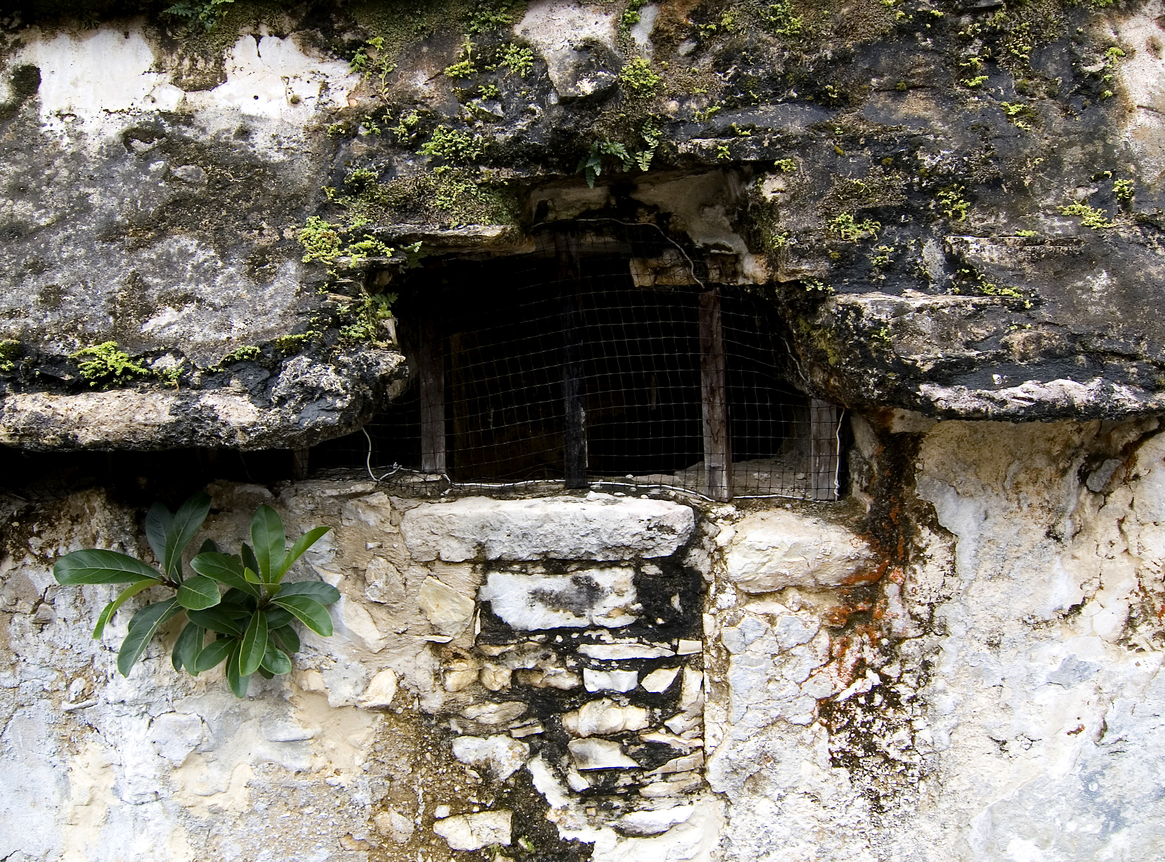 Free Stock Photo 1685-Temple Prison | freeimageslive