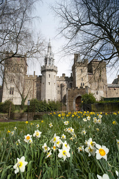 Free Stock Photo 7571 Cardiff Castle and the Barbican tower ...